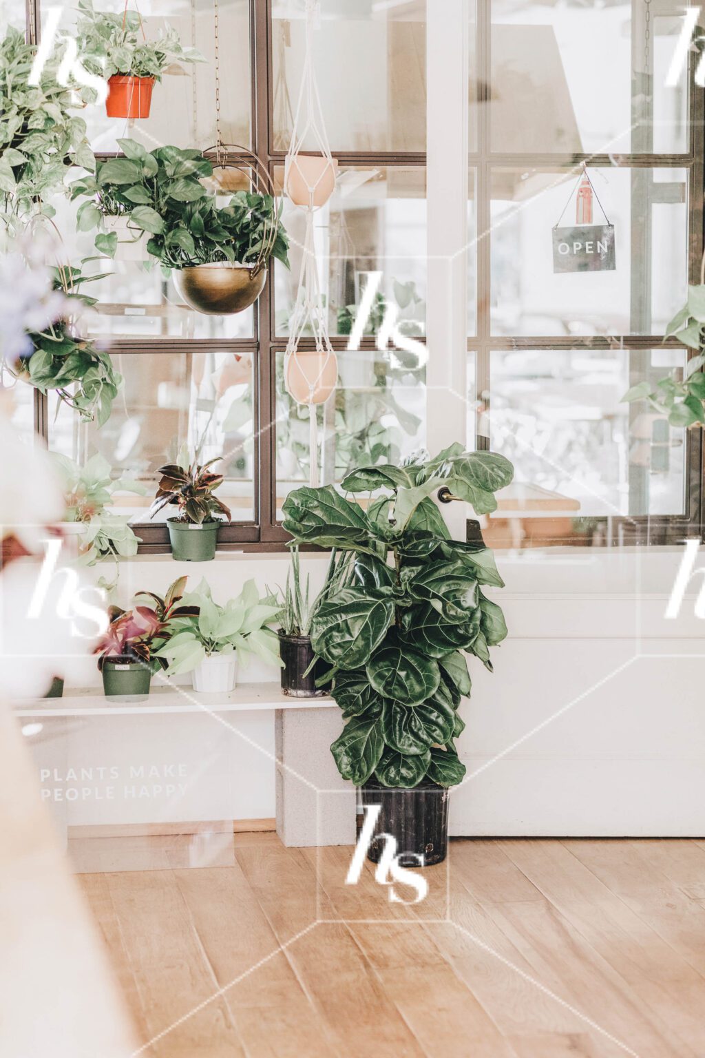Spring Flower Shop Styled Stock Photos - Haute Stock Blog