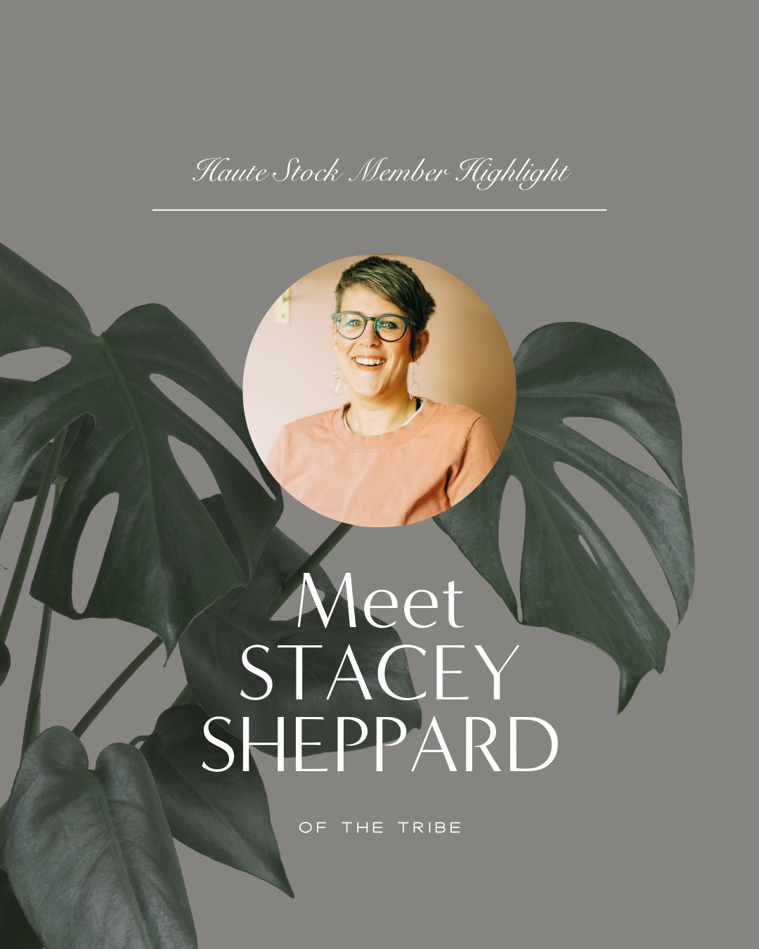 Member Highlight: Stacey Sheppard of The Tribe - Haute Stock Blog