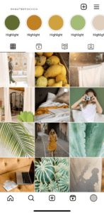 Green Branding Color Palette Inspiration - Haute Stock Blog