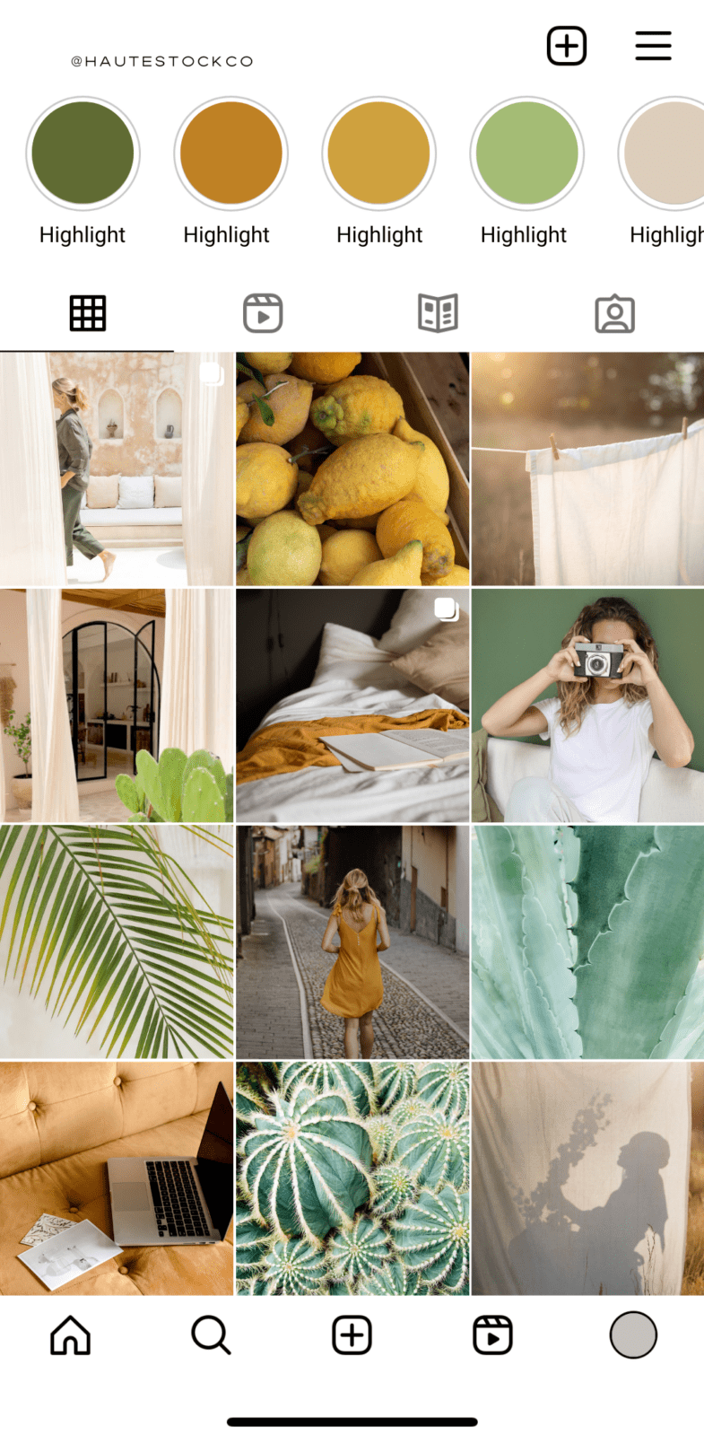 Green Branding Color Palette Inspiration - Haute Stock Blog