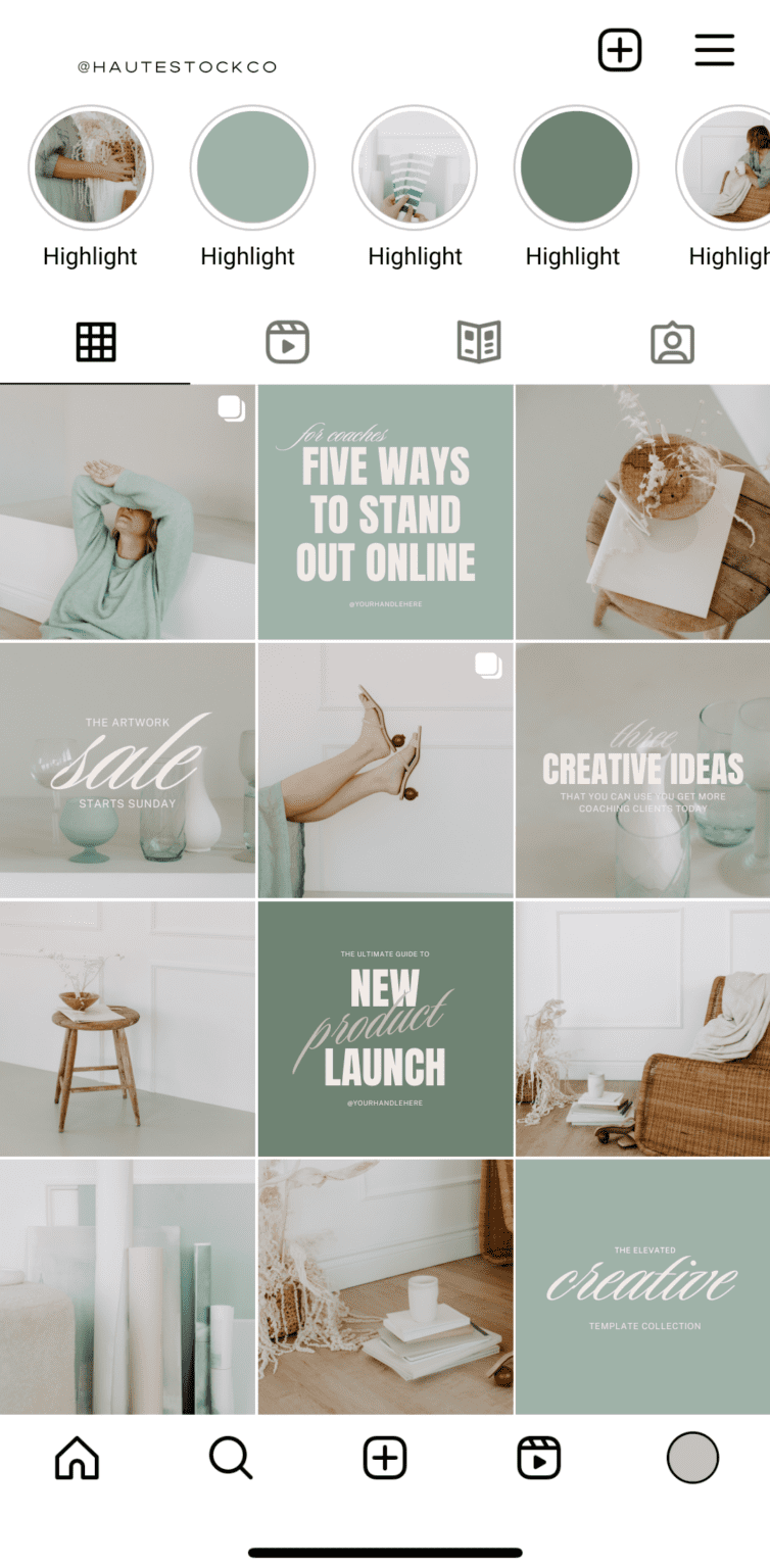 Green Branding Color Palette Inspiration - Haute Stock Blog