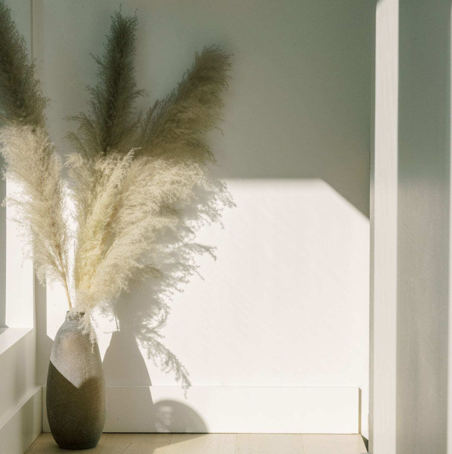 Soft Mornings: Meditation and Movement Stock Photos & Videos - Haute ...
